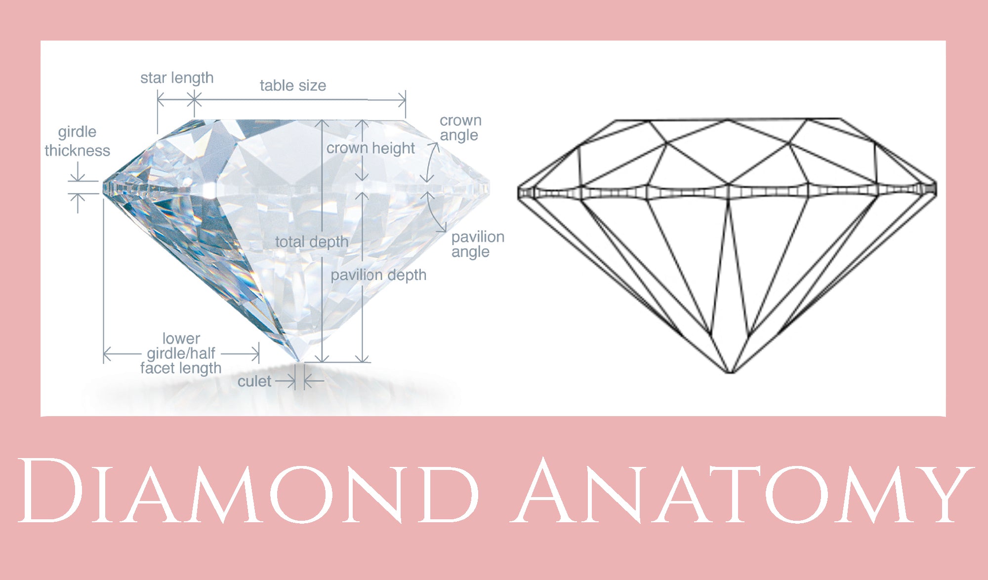 Diamond Anatomy – Bow & Co Jewellery Ltd